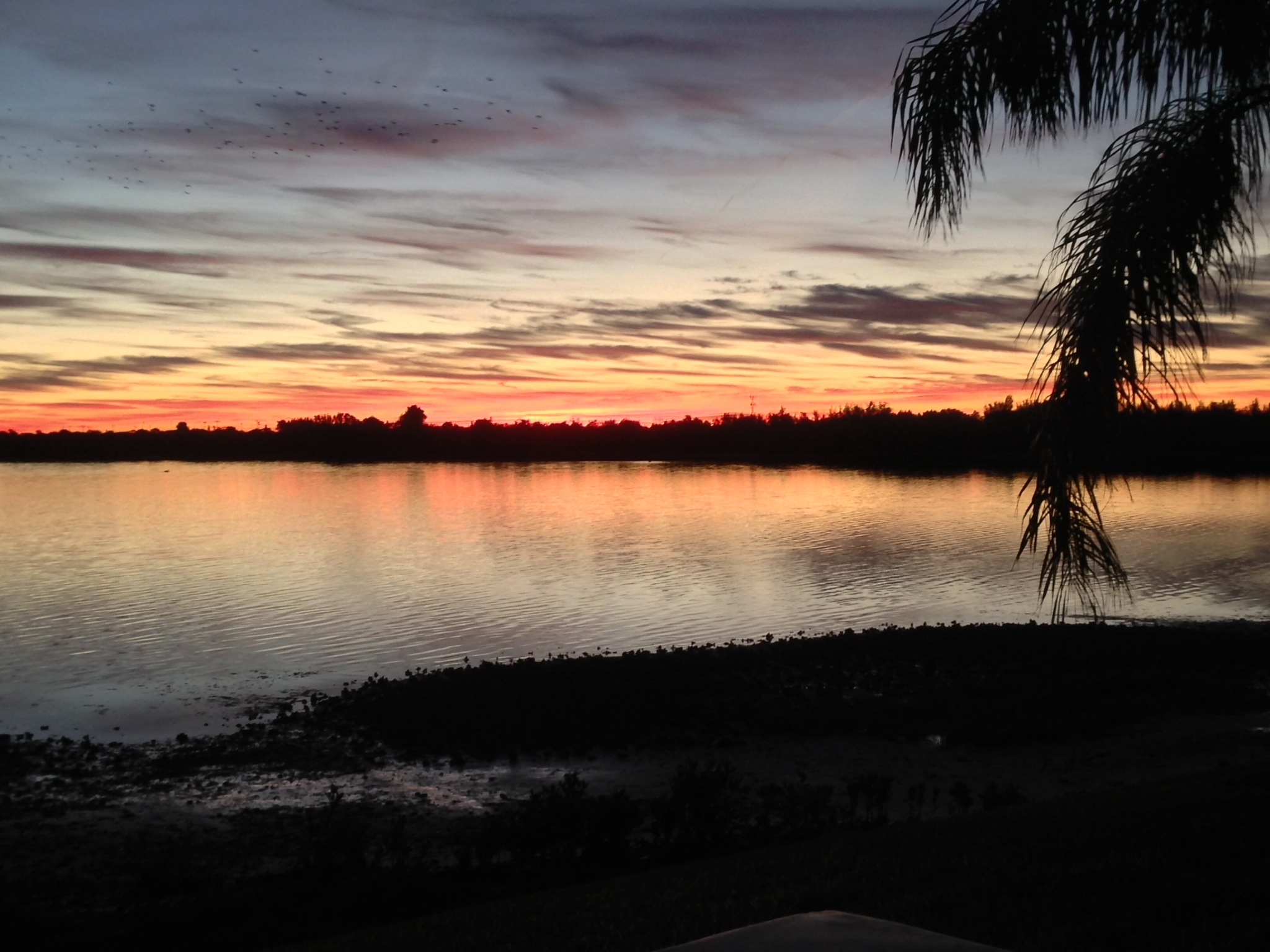 Pictures of PSH | Welcome to